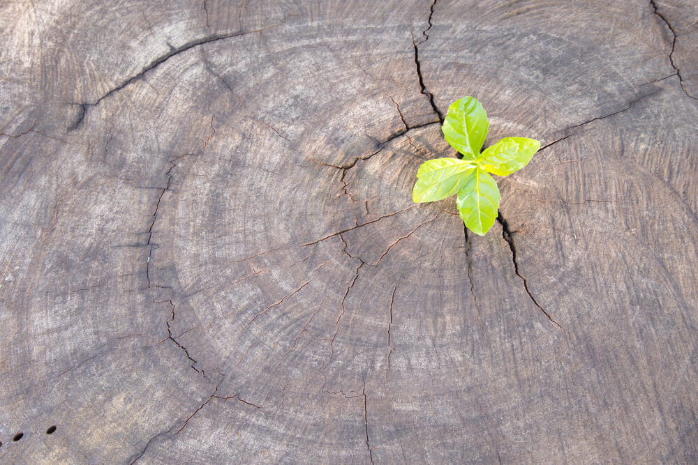 Vital Learning: Leadership & Management Training Courses